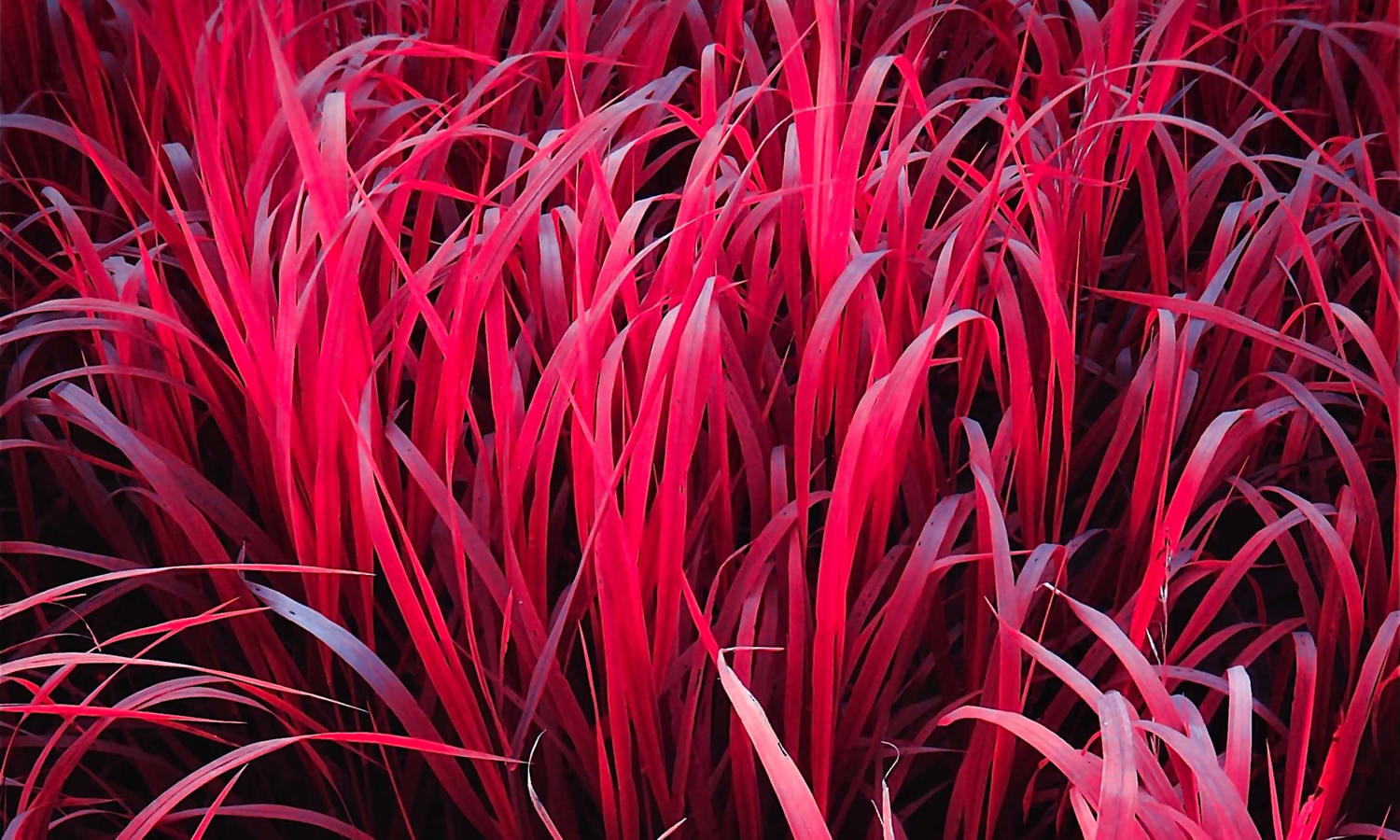 Energy Efficient Programming | openHPI